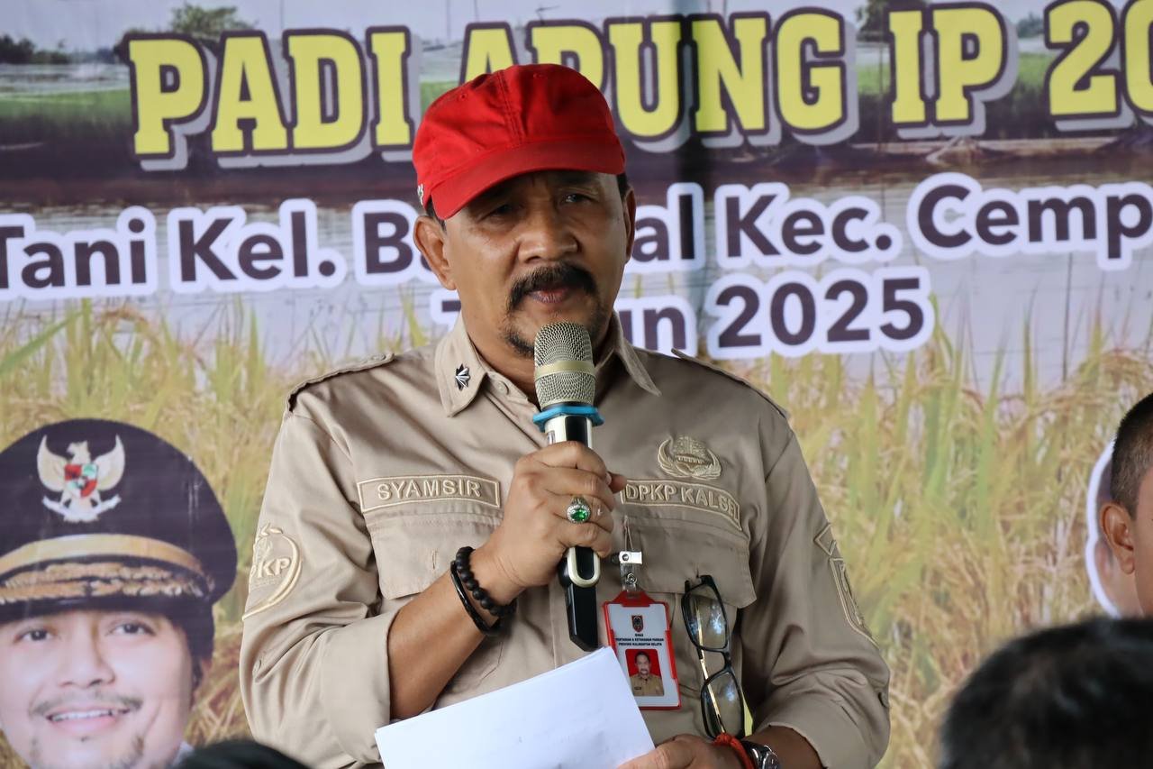 Panen Padi Apung di Banjarbaru, Wujudkan Ketahanan Pangan dan ...